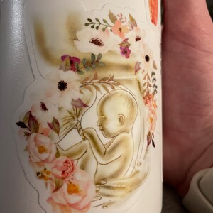 Placenta Sticker Newborn Organs human Body Floral Sticker Colorful ...