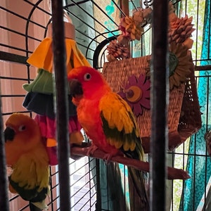 Winging It Bird Toy - Etsy