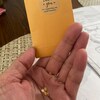 30 SEEDS Bitter Melon Momordica Charantia Bitter Gourd Melon Cundeamor ...