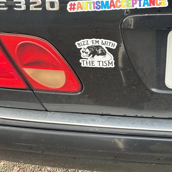 Rizz Em With the Tism Waterproof Weatherproof Vinyl Sticker Decal - Etsy