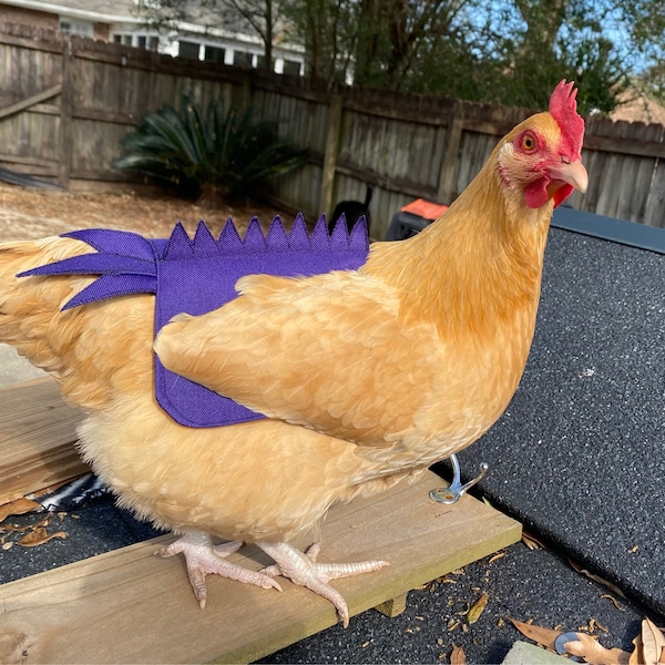 Waterproof Chicken Saddle: Dinosaur Costume Hen Apron With Tail Spikes ...