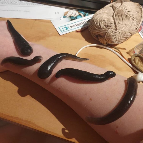 Larp Safe Rubber Leeches, Larp Medic, 5 Pack, Leach Healer, Plague ...