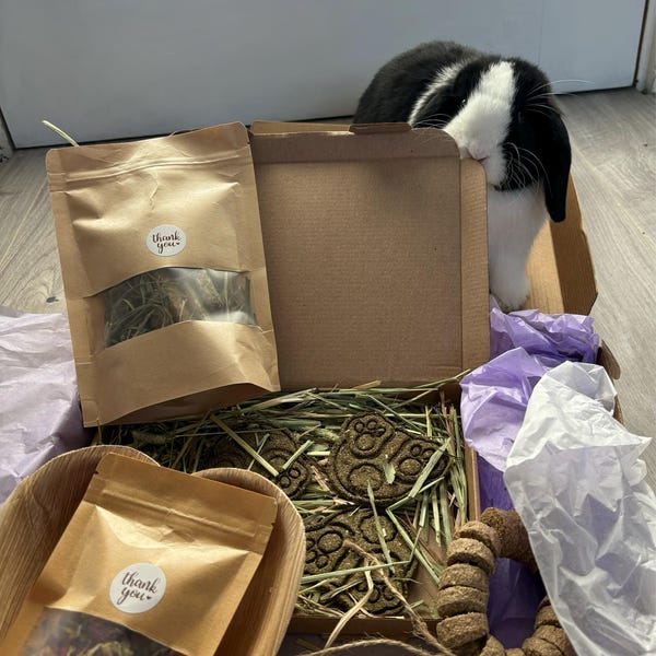 Forage Box Rabbits, Guinea Pigs, Hamsters, Rats - Etsy UK