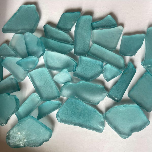 1 to 12 Calico Bay Scallop Pectin Pecten Shells Seashell White and Pink ...