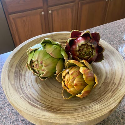 Fake Marsh Pennywort Plant, Hydrocotyle Vulgaris, Chinese Coin Plant ...