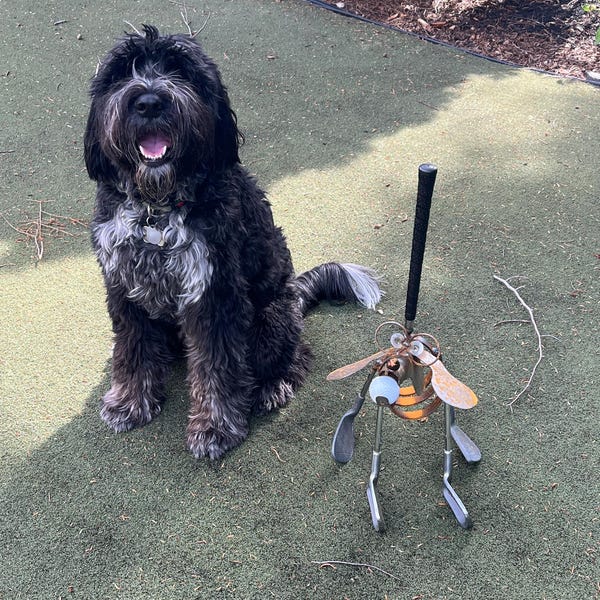 Golf Club Recycled Dog Yard Art Garden Sculpture Upcycle - Etsy