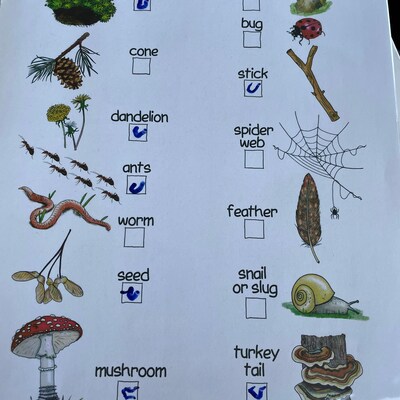 Printable Nature Journal Homeschool Learning Materials Charlotte Mason ...