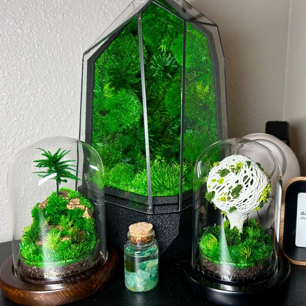 Preserved Moss Terrarium: the Rainforest - Island (S), Minimalist ...