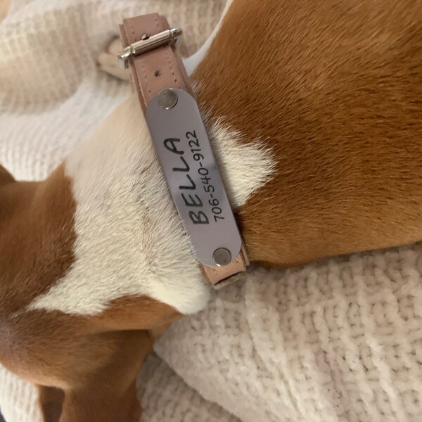 Personalized Aluminum Rivet-on Pet ID Tag | Custom Engraved Collar ...