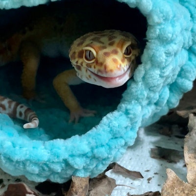 Reggie the Rhyming Raccoon Crocheted Plush From Drawing - Etsy