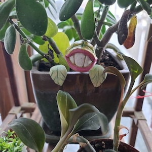 Alien Plant Buddy, Ceramic Alien, Garden Art, Plant Stake, Mini Green ...