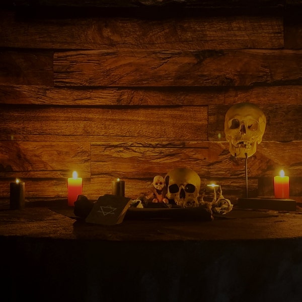 Human Skull Display Stand – Decorative Skull Exhibit for Oddities ...