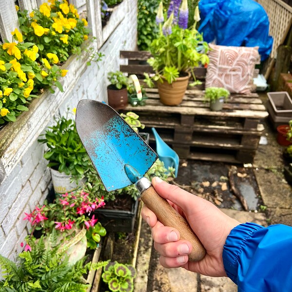 Selection of MCM Hornsea Storage Jars and Kitchenware in Saffron ...