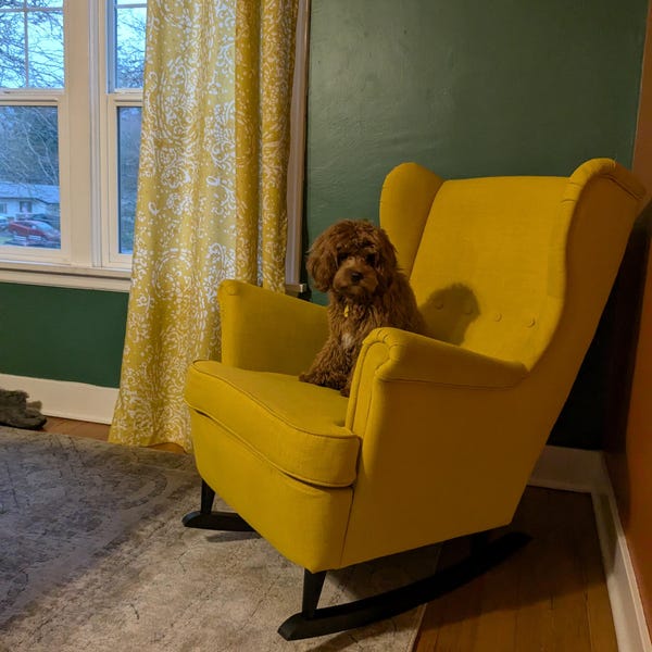 Black English Butler Tray Leaf Hinge With Round Ends Oval 90 Degree ...