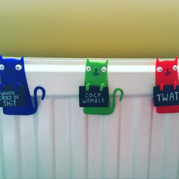 What A Crock of Shit Fridge Magnet Sweary Rainbow Cats Fridge Magnet ...