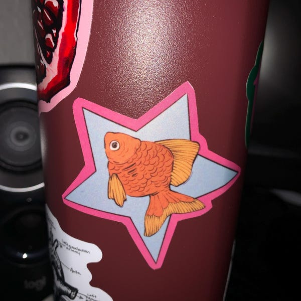 Goldfish Star Sticker | Glossy and Waterproof - Etsy