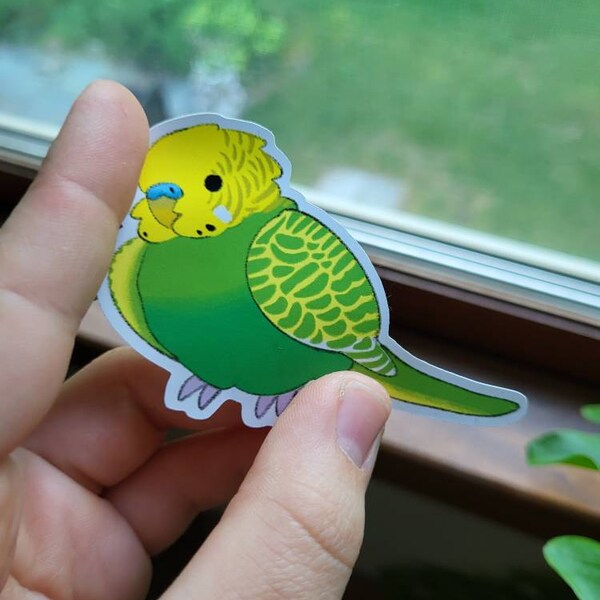 Budgie (budgerigar) Stickers - Etsy