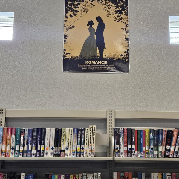 Book Genre Posters Set of 10, Classroom Decor, Library Decor, Book ...