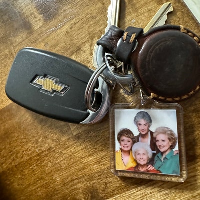 Foo Fighters the Colour and the Shape CD Album Cover Keychain - Etsy