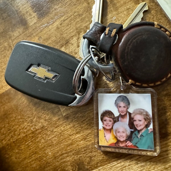 Foo Fighters the Colour and the Shape CD Album Cover Keychain - Etsy