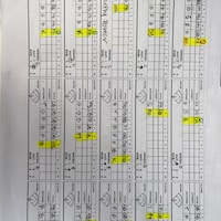 Tryout Softball Chart - Etsy