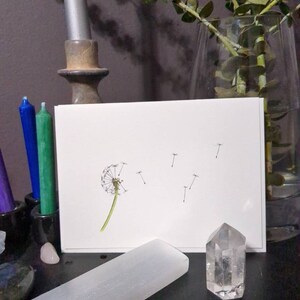 Squirrels Play Piñata Birthday Card Funny Birthday Card - Etsy