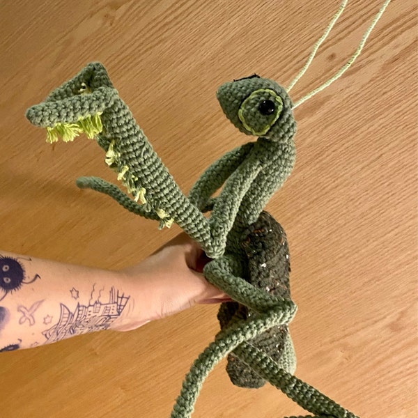 Praying Mantis Crochet Pattern - Etsy
