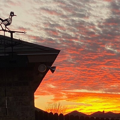 Crow Metal Weathervane Weather Vane Home Roof Decor Raven - Etsy