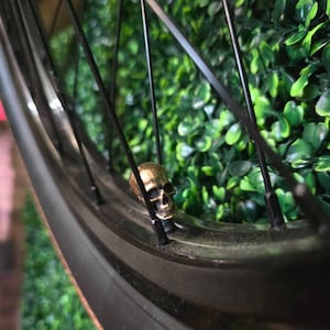 2 Metal License Plate Custom Bolts,middle Finger,flip Off,screw ...