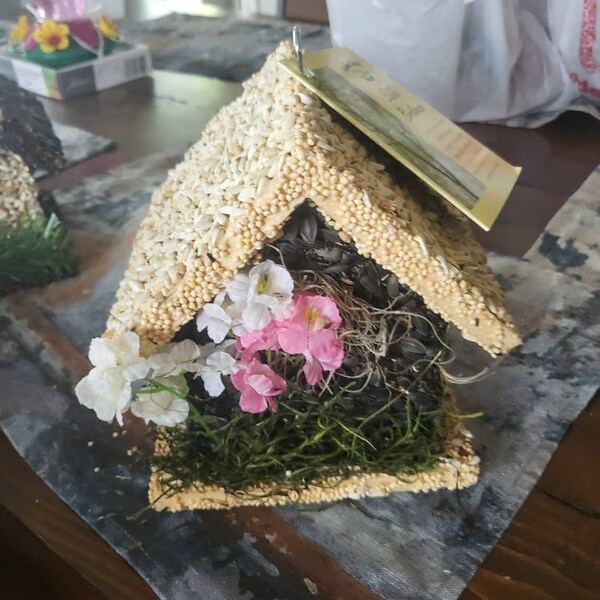 Edible Bird Home, Birdseed Birdhouse, Bird Seed House, Handmade Bird ...