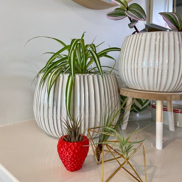 Strawberry Air Plant Holder | Succulent | Home Decor | Flower Pot | 3D ...