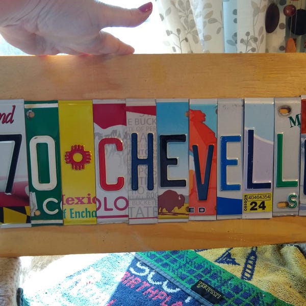 Professionally Cut License Plate LETTERS and Numbers From Real Plates ...