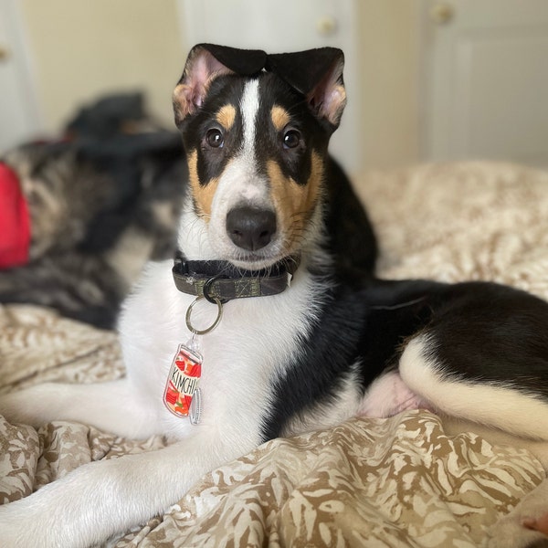 Narutomaki Keychain, Japanese Fish Cake Keychain, Small Acrylic Charm ...