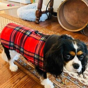 Preppy Pink Small Dog Ruffle Harness Made in USA Dog | Etsy