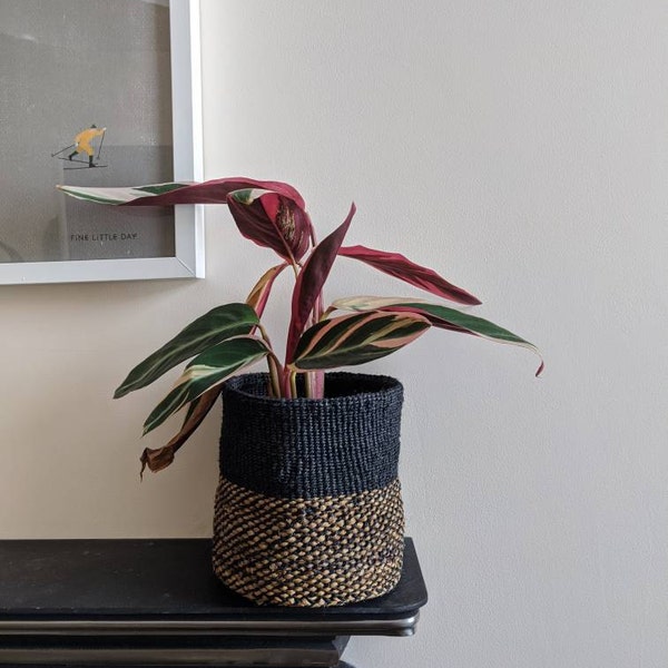 KALAHARI: Natural With Jute Pattern Sisal Baskets / Storage Baskets ...