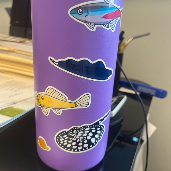 Paper Fish Tank DIY PAPER CRAFT Kids Art Tropical Fish Pet Aquarium ...