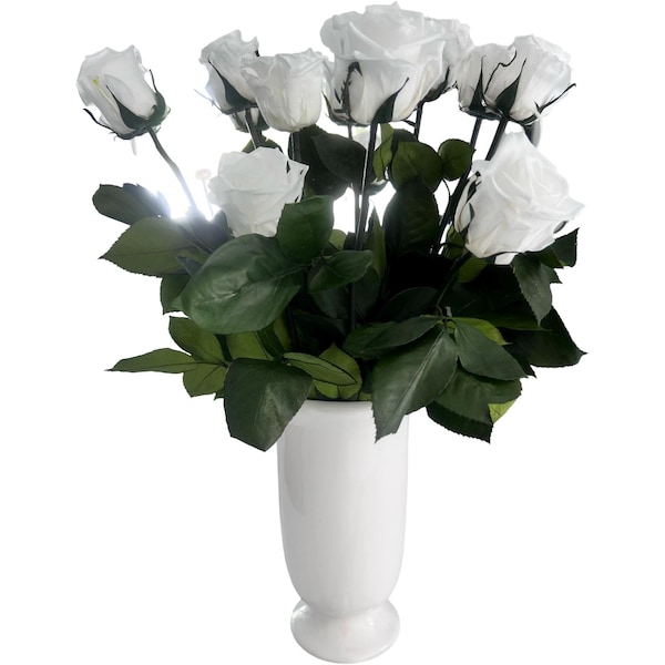 Pack of 16 Long-stem White Preserved Roses | Mother's Day Gift ...