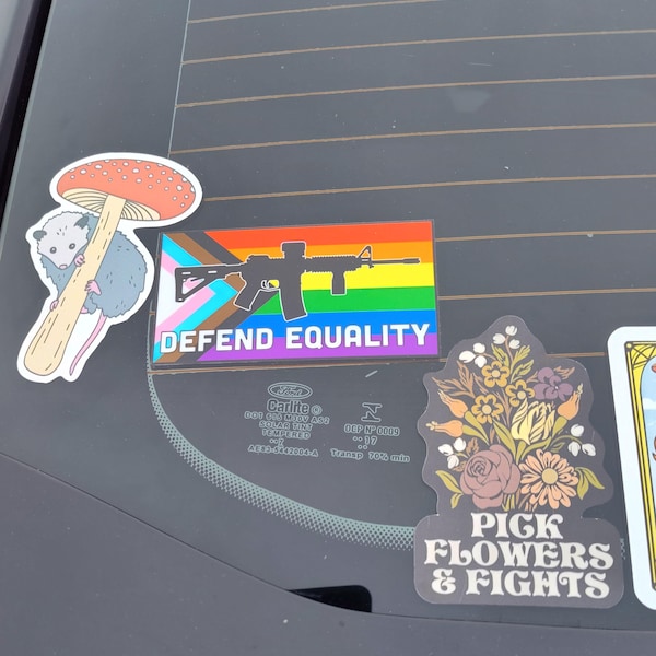 Defend Equality Trans Flag and Rifle Hard Enamel Pin - Etsy