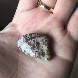 Mexican Leopard Skin Jasper, Leopardskin Jasper Tumbled Stone, Leopard Skin Jasper, Jaguar Stone ...