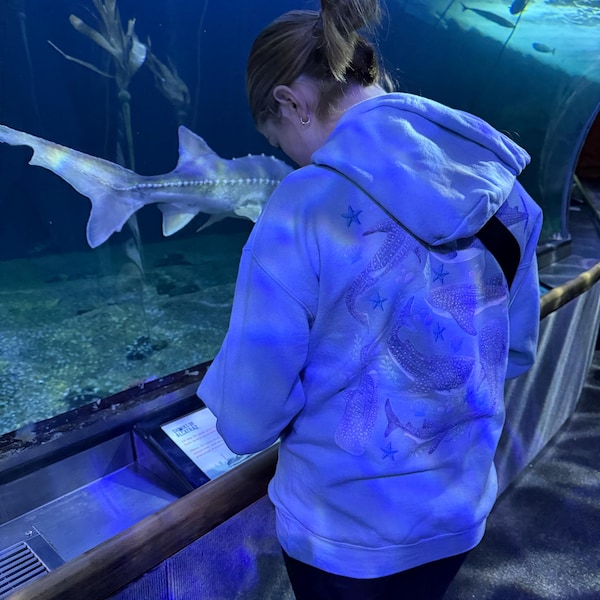 Whale Shark Hoodie Whale Shirt Shark Whale Sweatshirt Whale Sweater ...