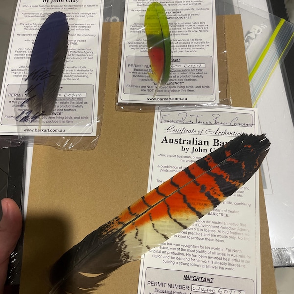 Genuine Wedged Tailed Eagle TAIL Feather WAND, Prayer Feather, SMUDGING ...