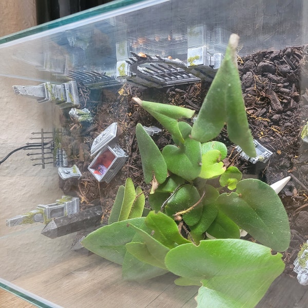 Graveyard (6) Mausoleum Moss Gravestone Skull Statue Tomb / Painted ...