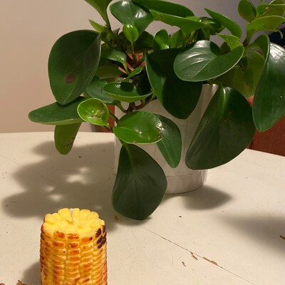 Checkered Ash Tray Unique Hand Painted Ash Holder / Trinket - Etsy