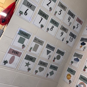 PLANTS & FOLIAGE Birthday Display, Celebration Classroom Display, Boho ...