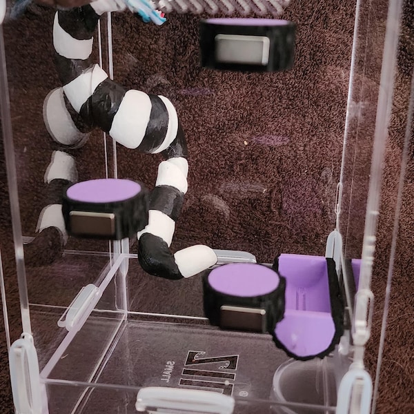3D Printed Sandworm Jumping Spider Hide Platform - Etsy