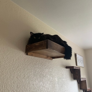 Floating Cat Stairs Floating Cat Bed Cat Perch Cat Furniture - Etsy