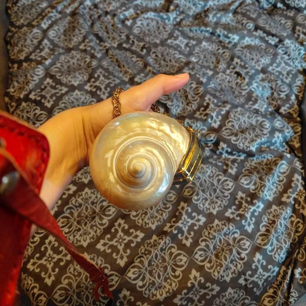 Real Abalone Iridescent Seashell Purse | Natural Mini Golden Shell ...