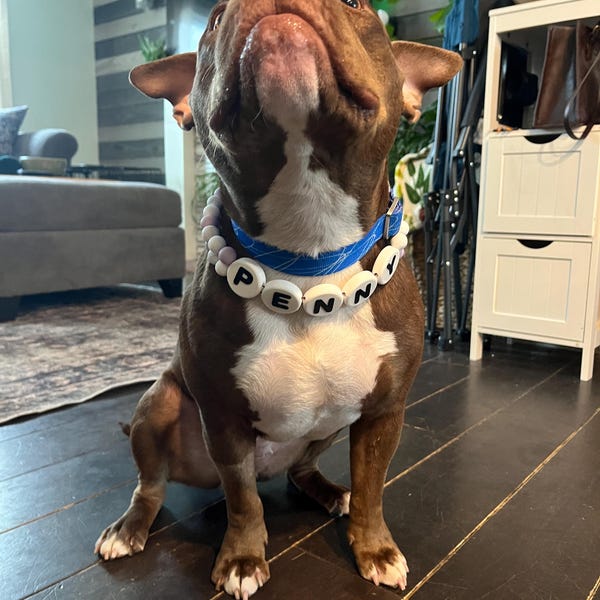 Nosferatu Tealight Shadow Caster - Halloween Tea Light Holder - 3D ...