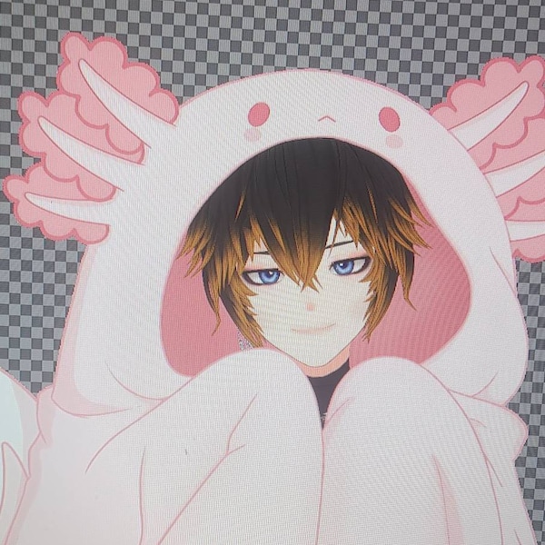 CUTE VTUBER ASSETS Blankets | Dino, Dinosaur, Axolotl, Bunny | 2d, 3d ...