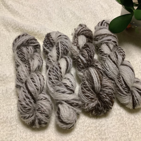 Wool JACOB RAW Unwashed Sheep Fleece Rare Breed From Prize Winning ...